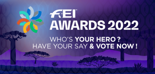 FEI Awards 2022