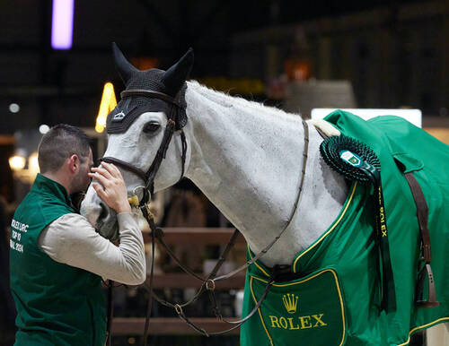 Limelight on a professional approach