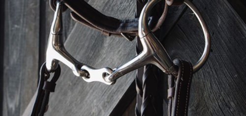 Last update of the FEI Tack, Equipment & Dress Database (FEI Tack App ...